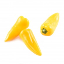 Seizoensgebonden producten van bij ons | Verbazend plezant